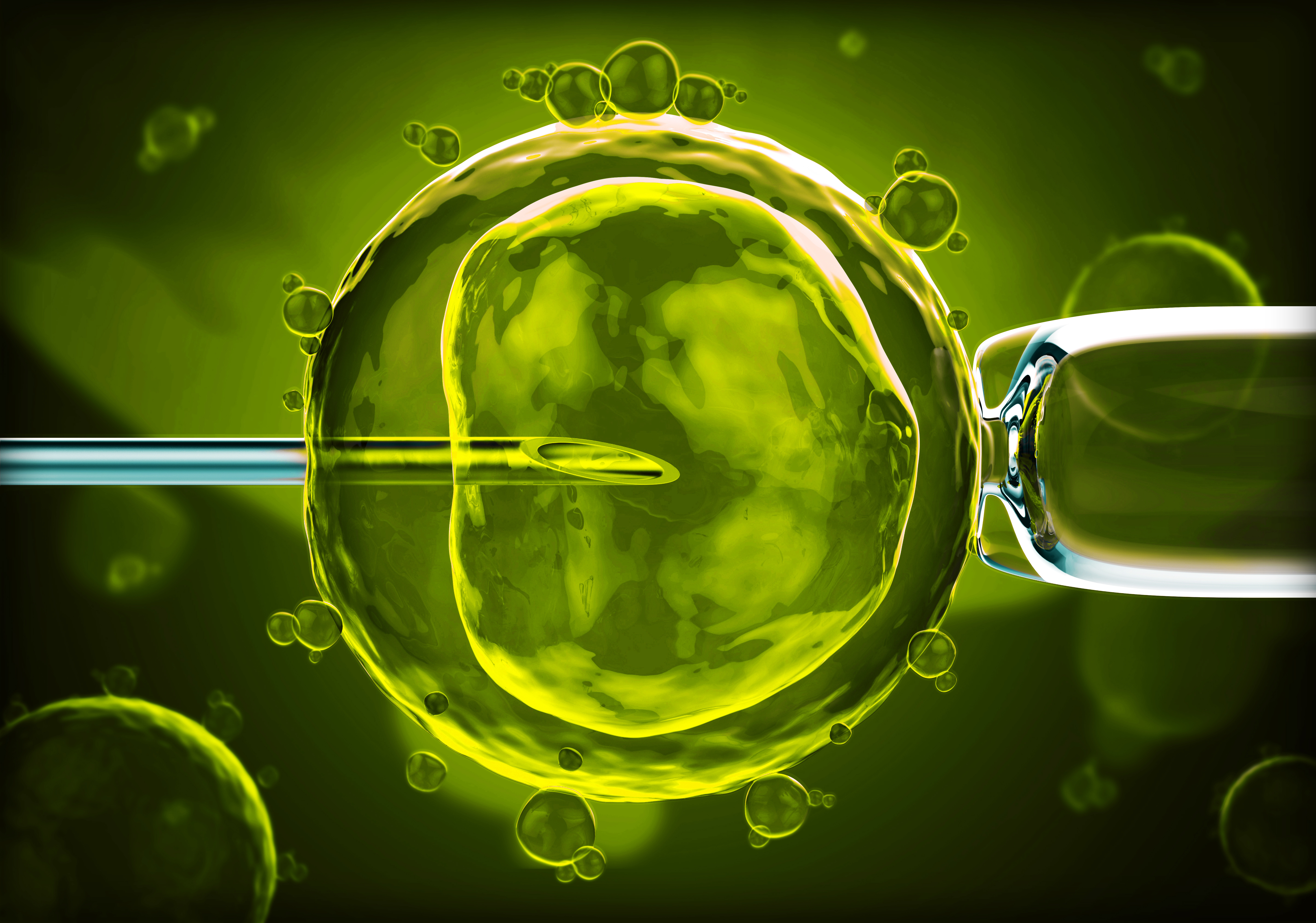 What's covered under New York's new IVF law? - Time For Families