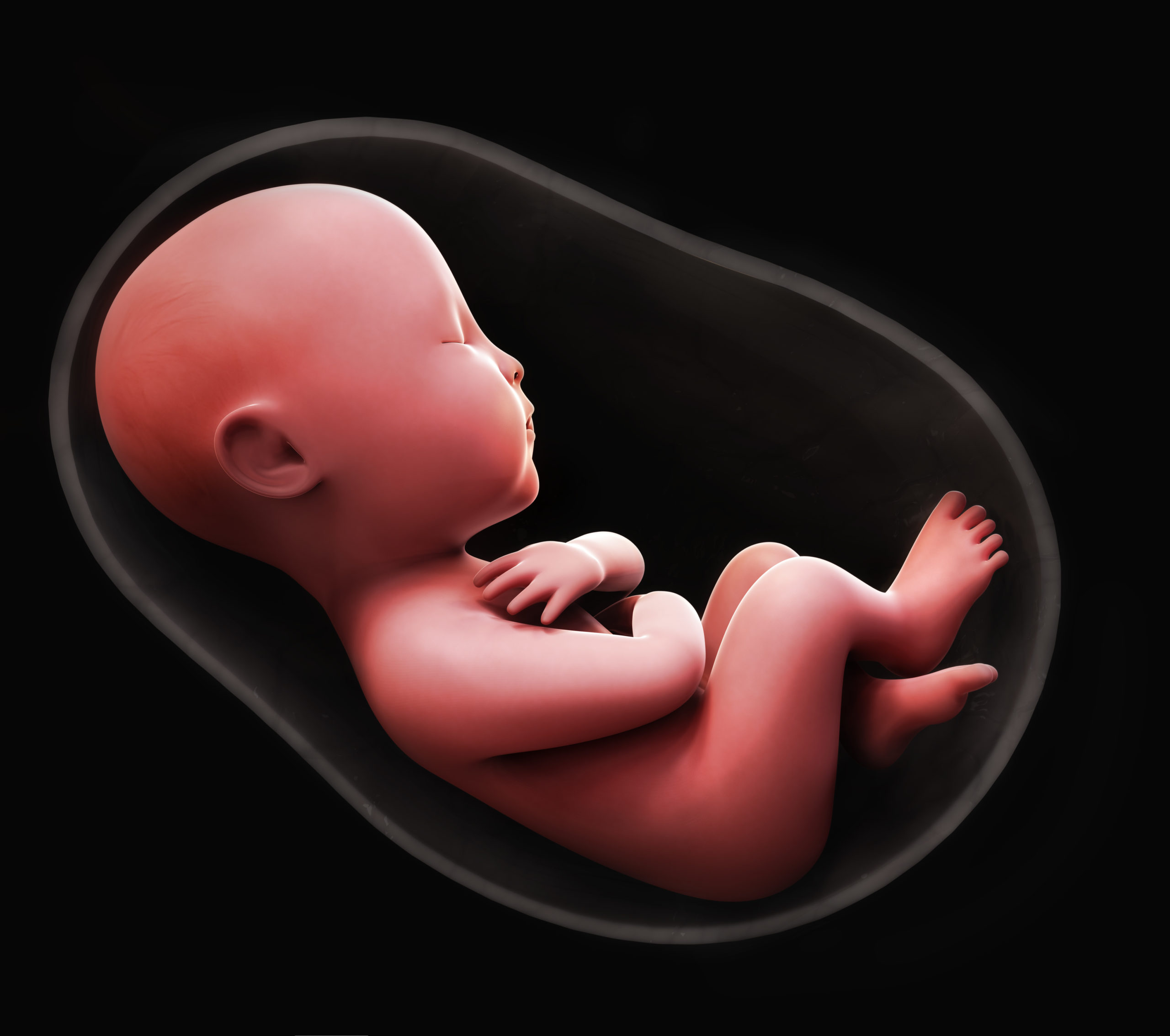 Shielding the Fetus From the Coronavirus - Time For Families
